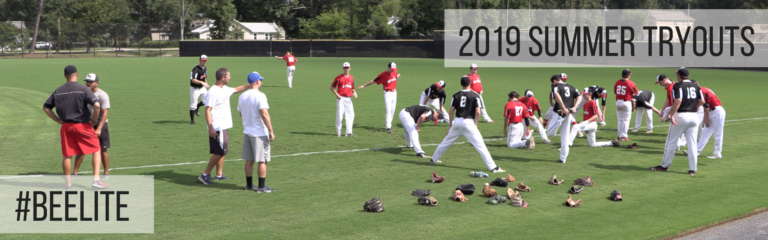 1 – Elite Baseball